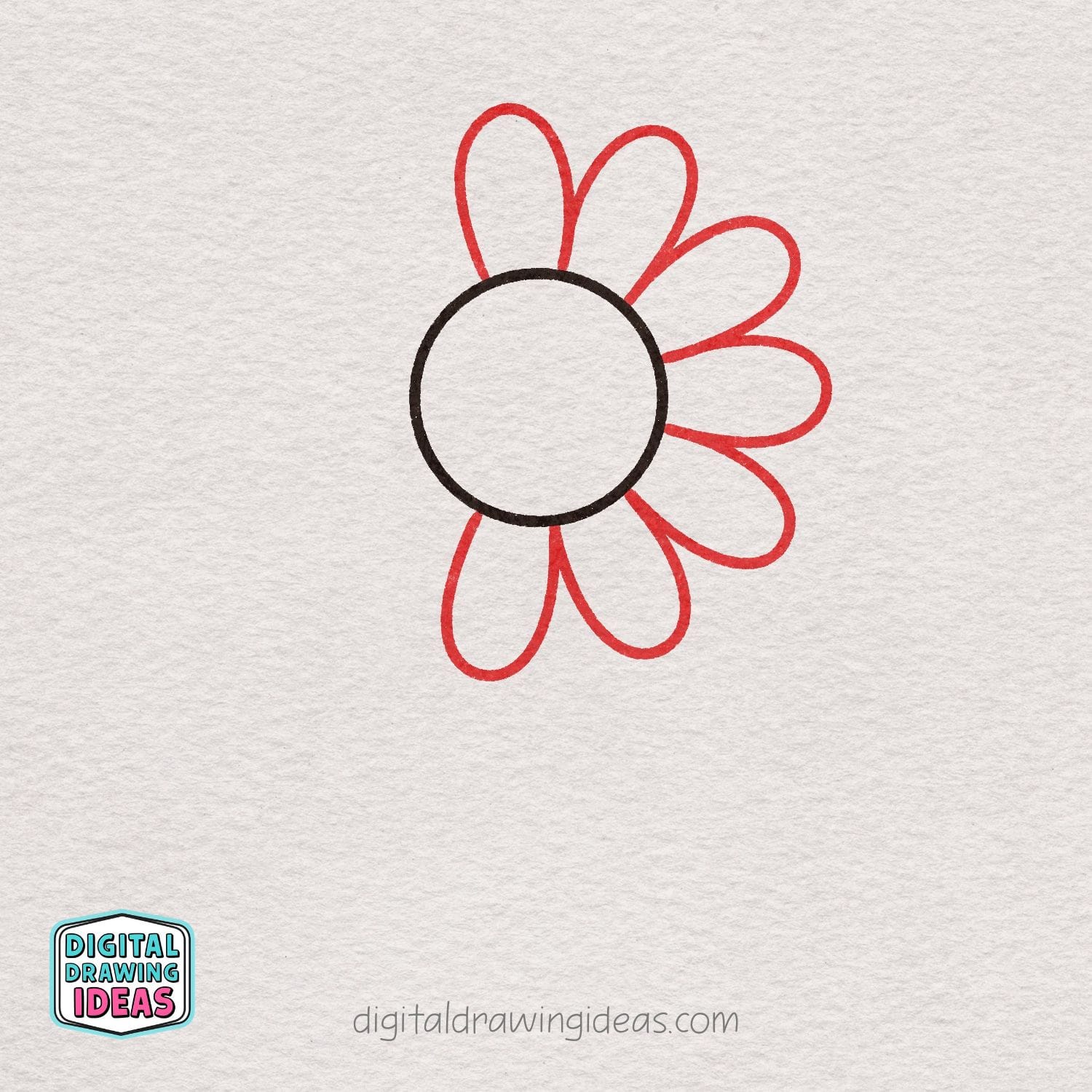 How to Draw a Daisy Flower - Digital Drawing Ideas