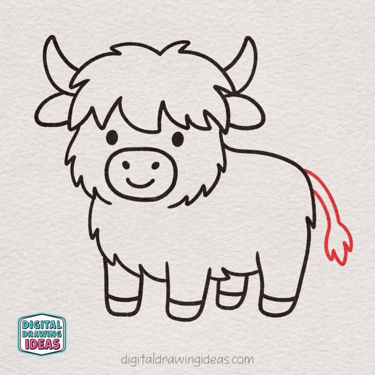 How to Draw a Highland Cow - Digital Drawing Ideas