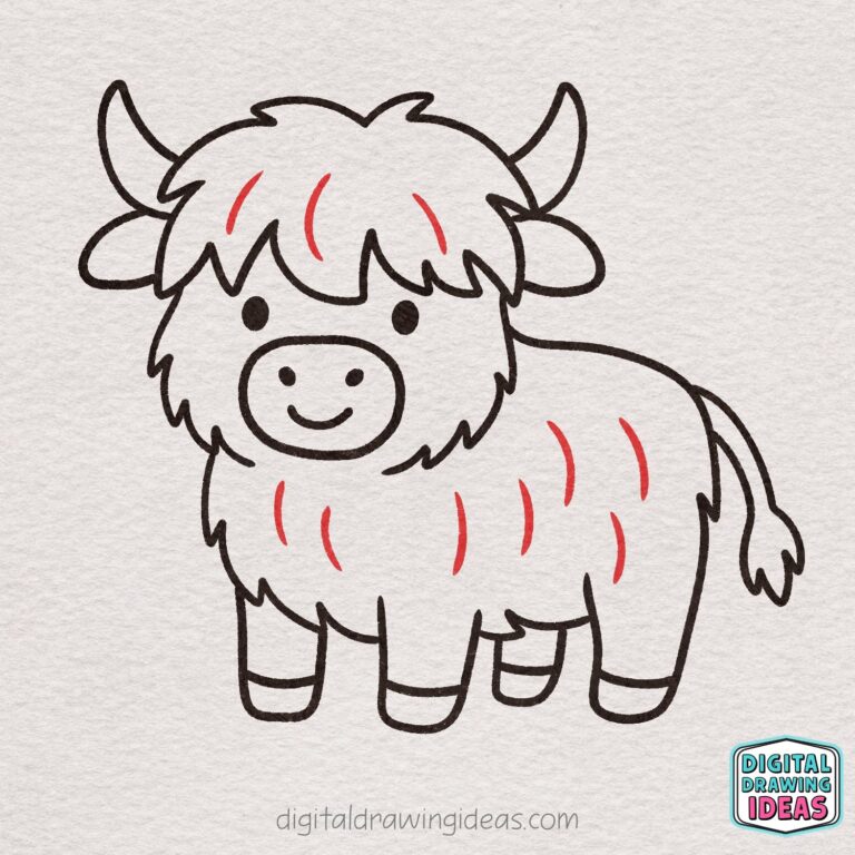 How to Draw a Highland Cow - Digital Drawing Ideas