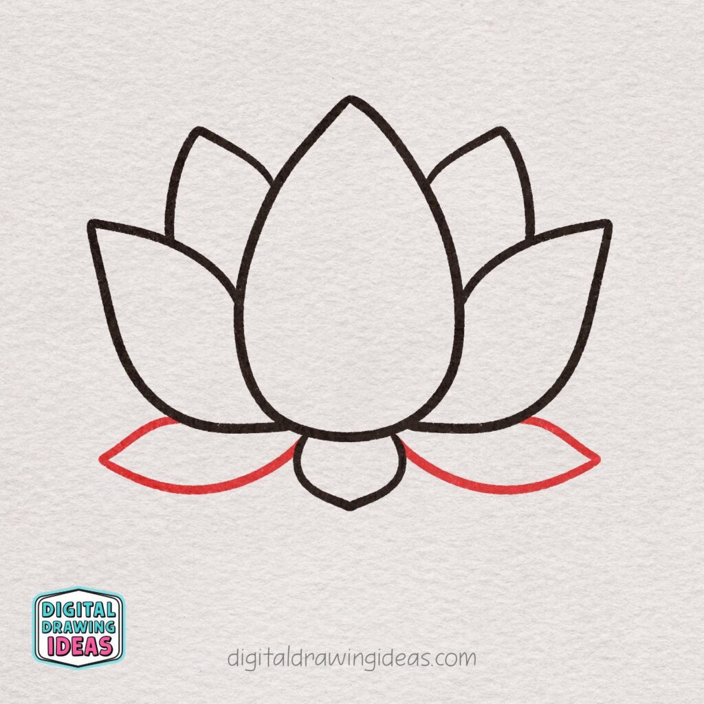 How to Draw a Lotus Flower - Digital Drawing Ideas