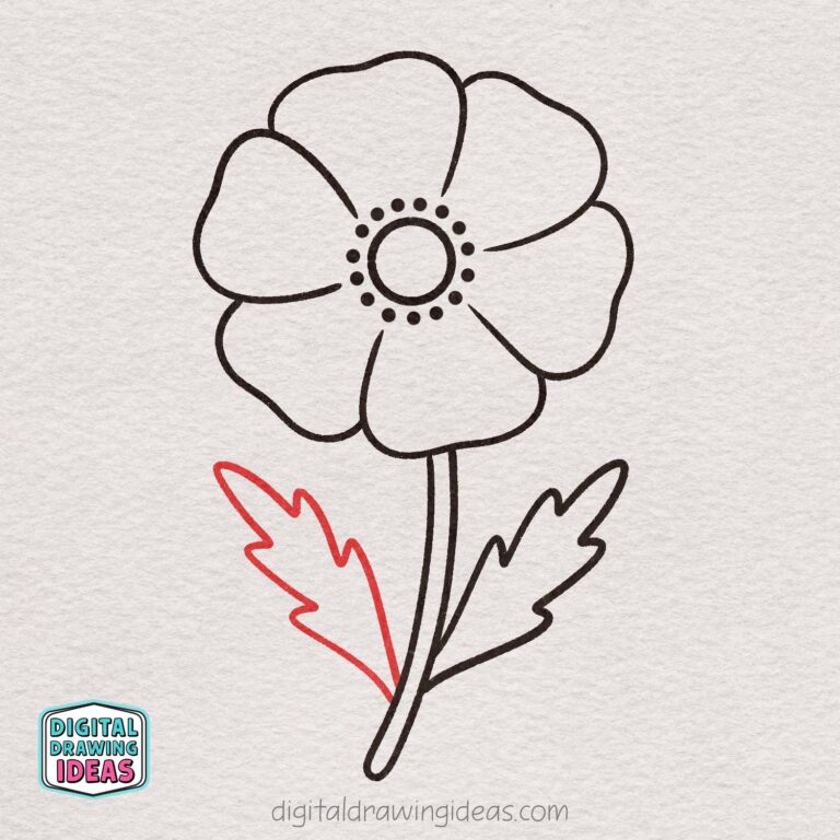 How to Draw a Poppy Flower - Digital Drawing Ideas