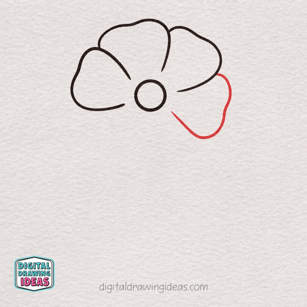 How to Draw a Poppy Flower - Digital Drawing Ideas