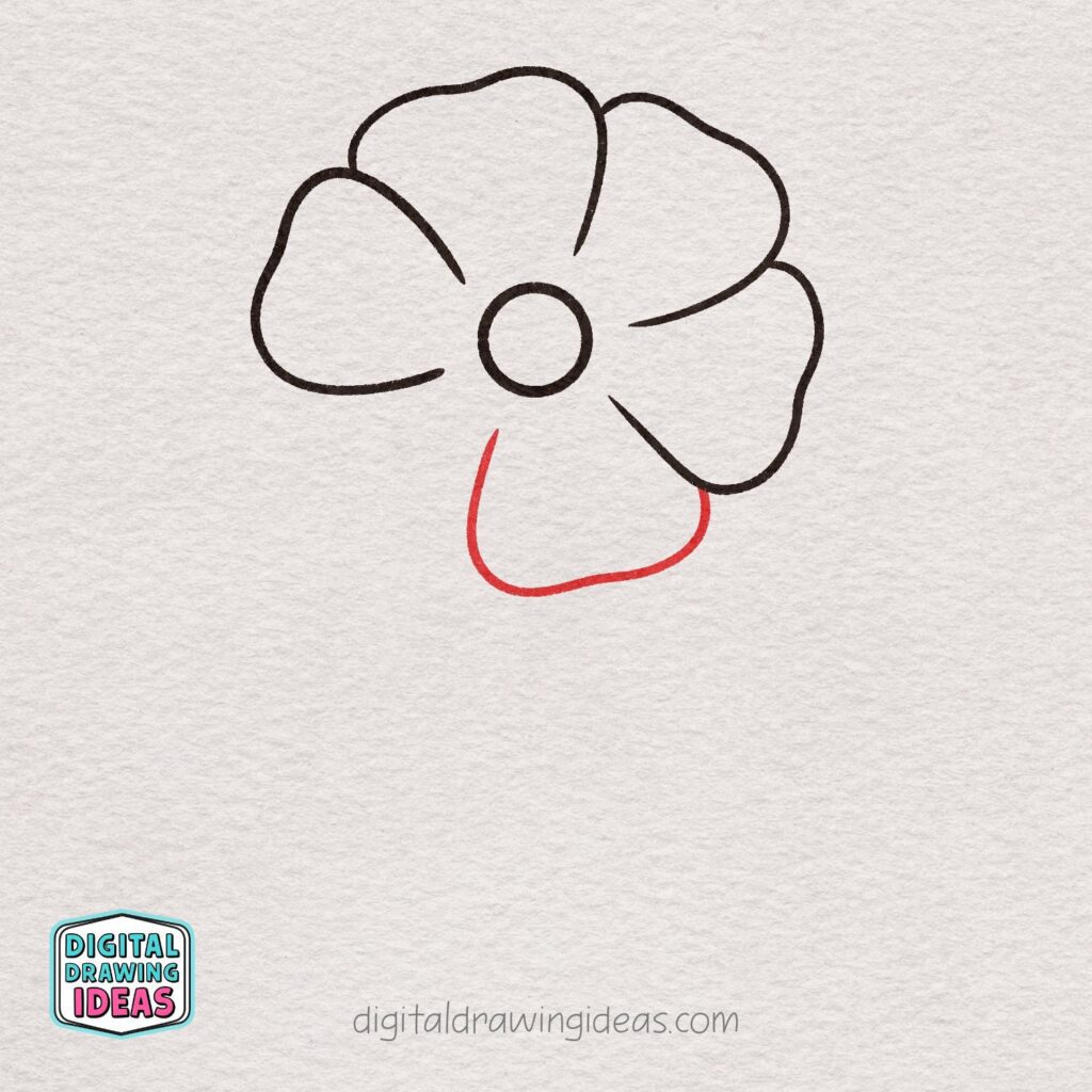 How to Draw a Poppy Flower - Digital Drawing Ideas