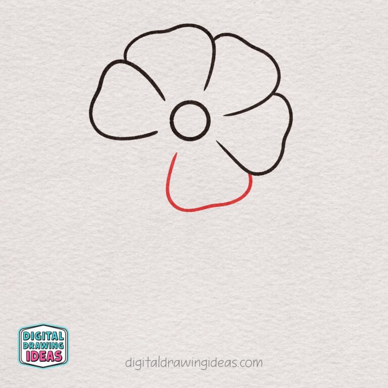 How to Draw a Poppy Flower - Digital Drawing Ideas