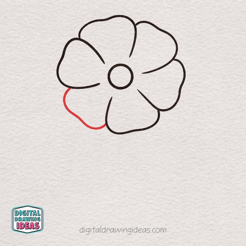 How to Draw a Poppy Flower - Digital Drawing Ideas