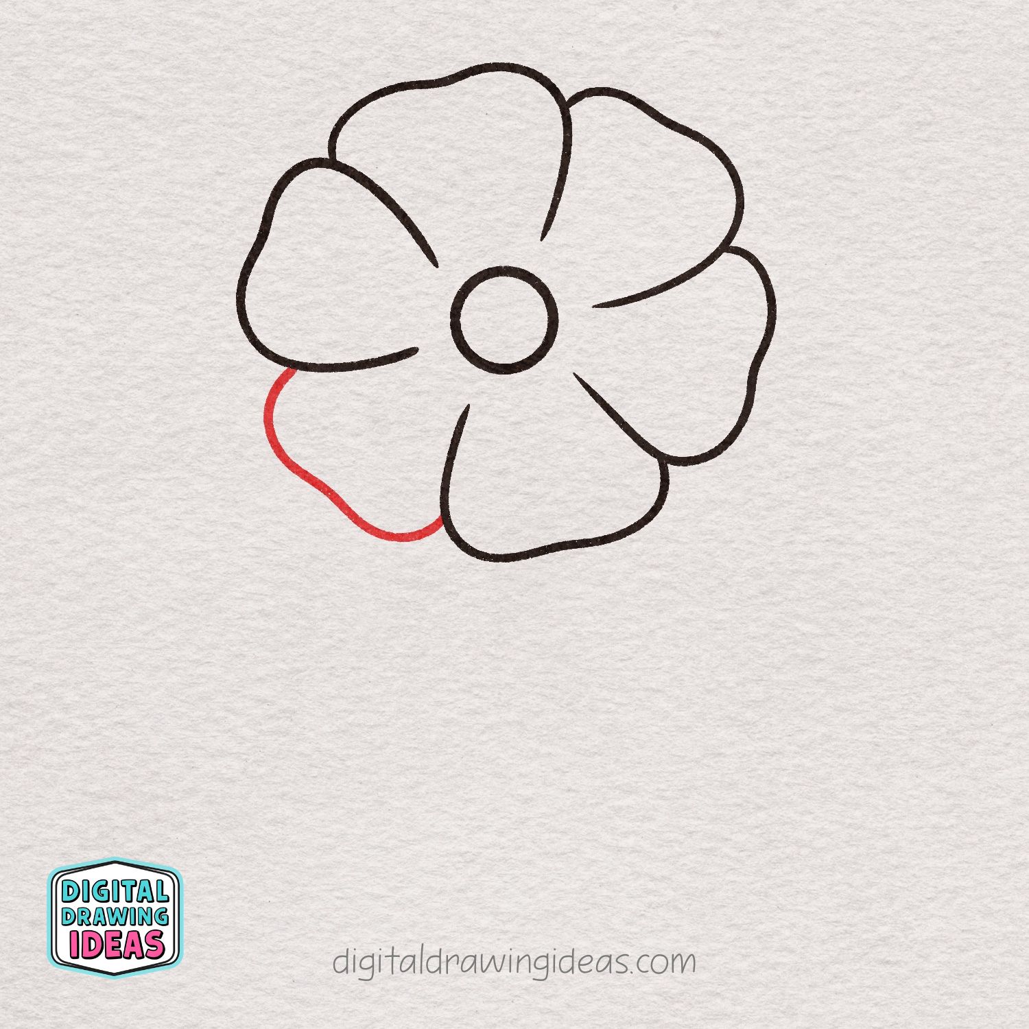 How to Draw a Poppy Flower - Digital Drawing Ideas