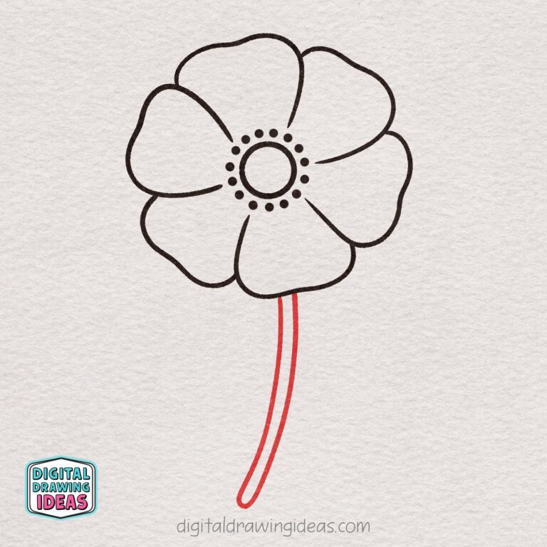 How to Draw a Poppy Flower - Digital Drawing Ideas