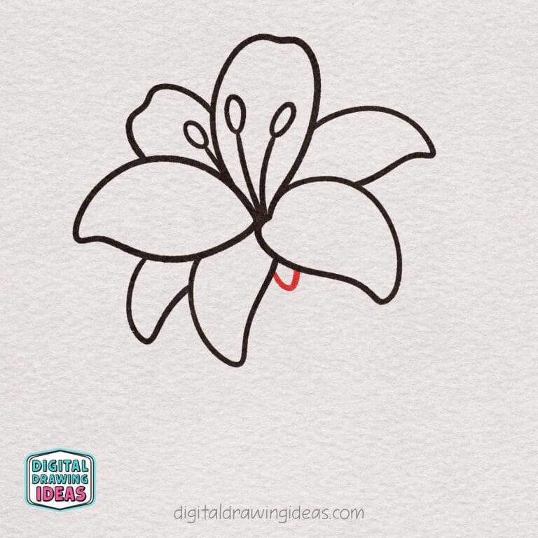 How to Draw a Lily Flower - Digital Drawing Ideas