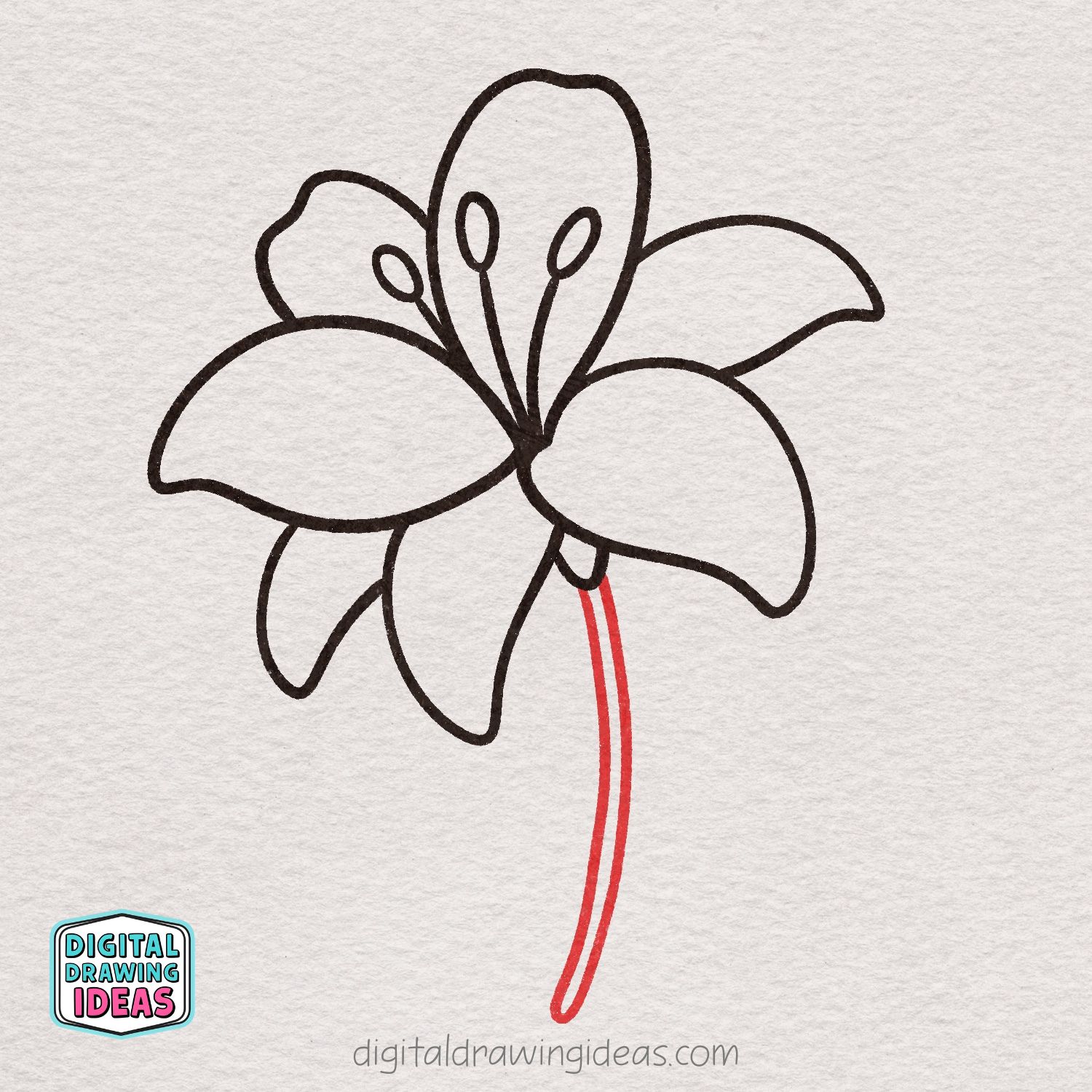 How to Draw a Lily Flower - Digital Drawing Ideas