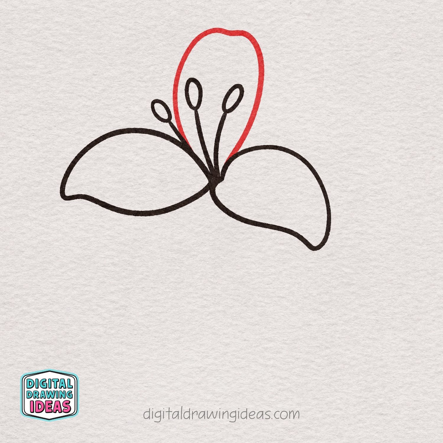 How to Draw a Lily Flower - Digital Drawing Ideas