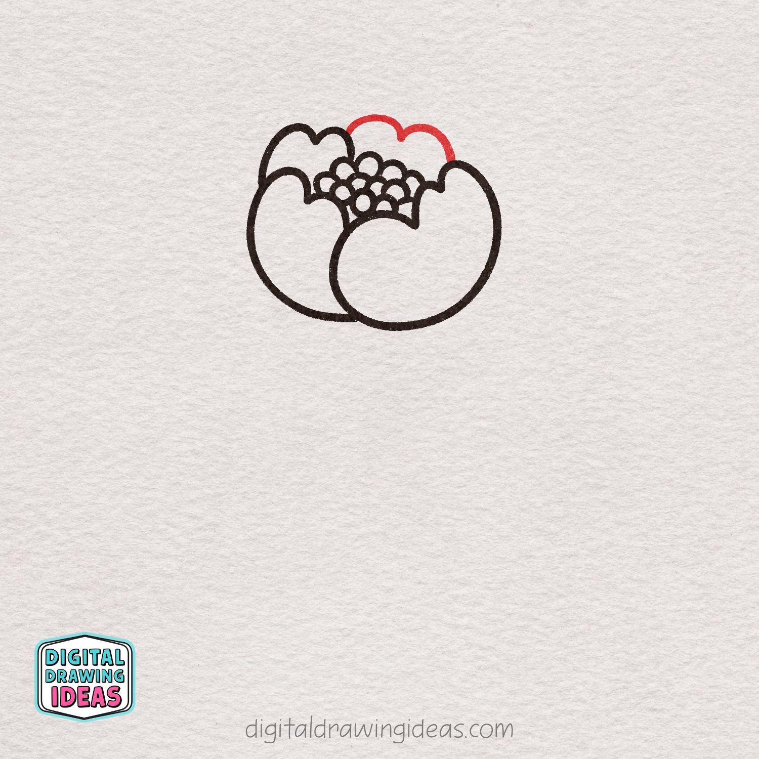 How to Draw a Peony Flower - Digital Drawing Ideas