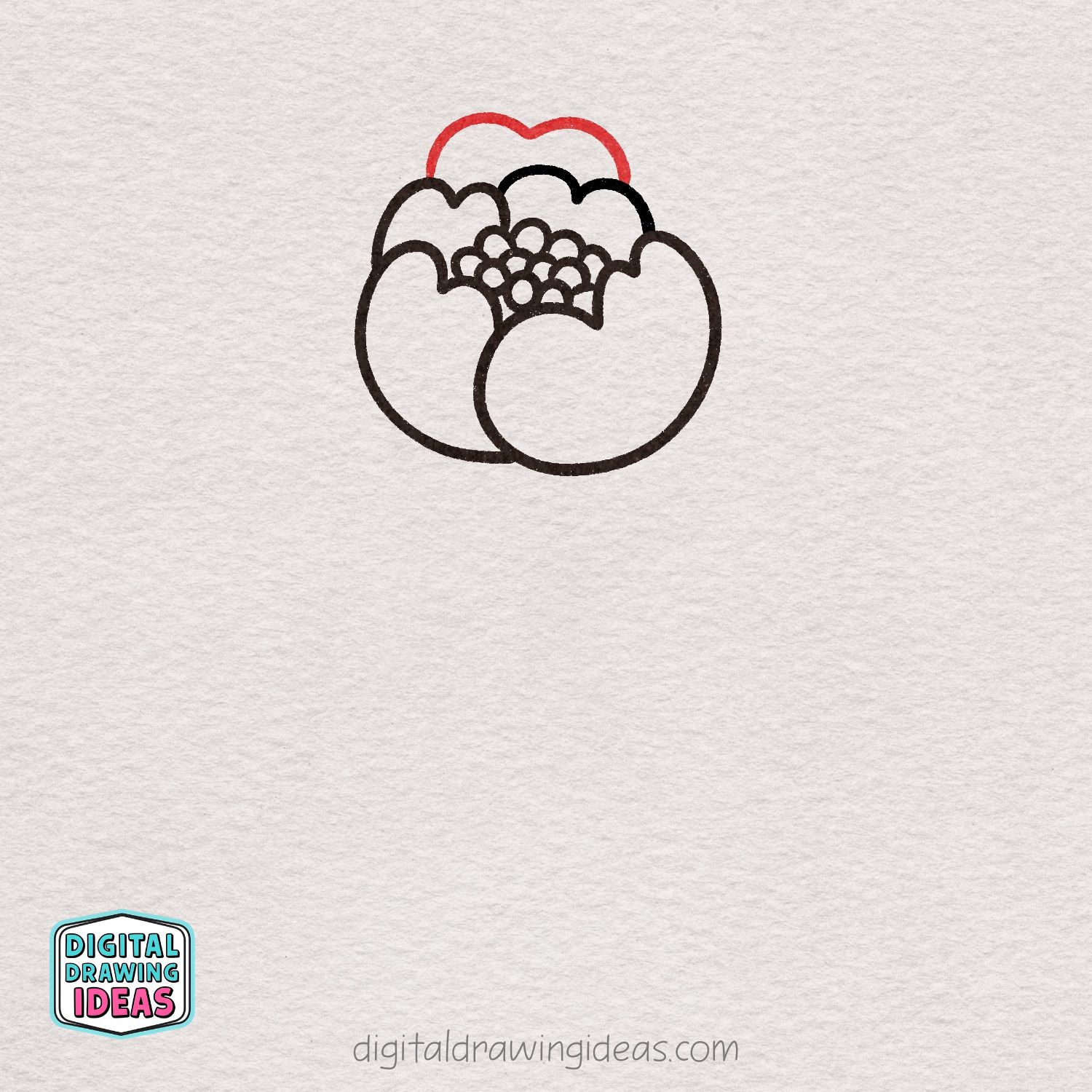 How to Draw a Peony Flower - Digital Drawing Ideas