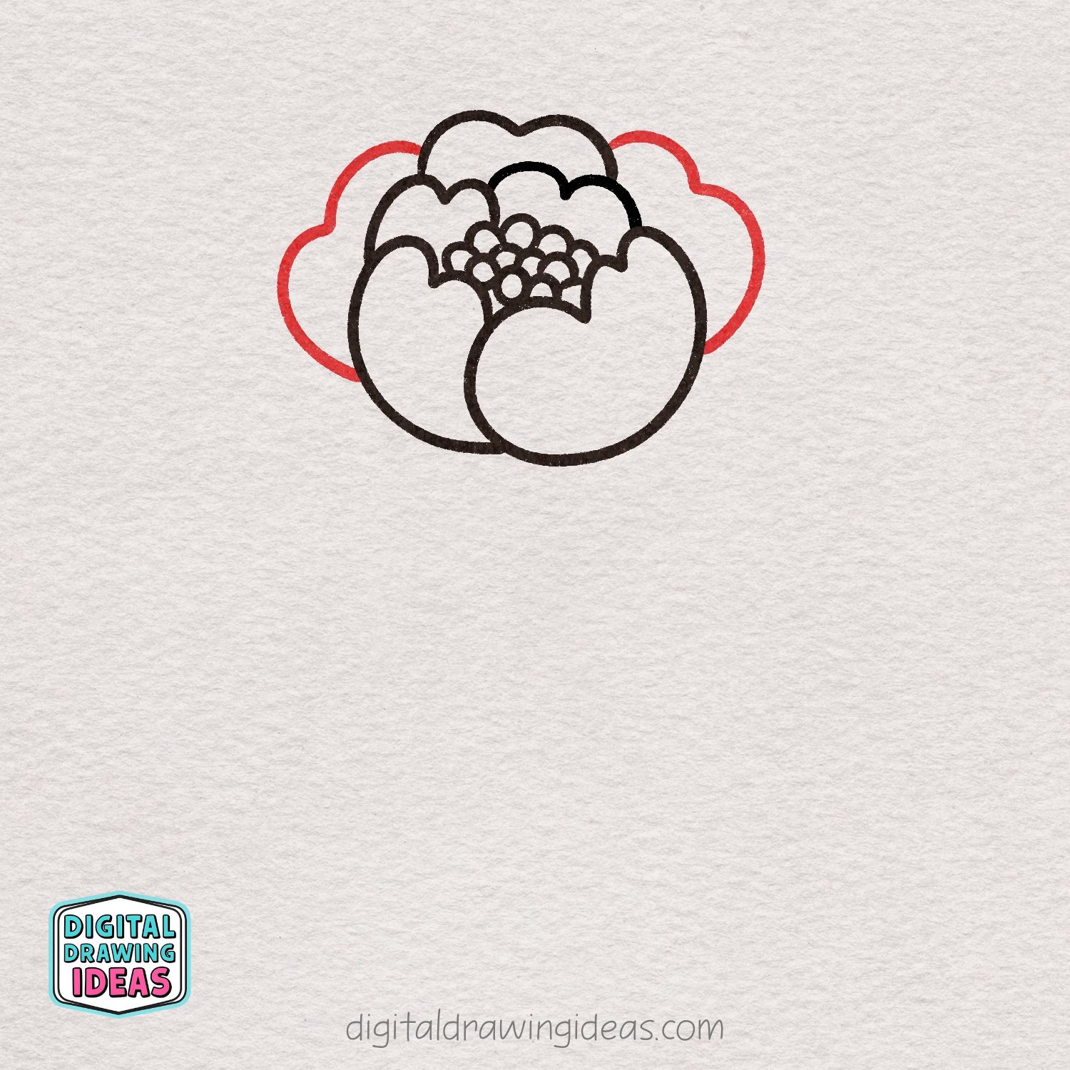 How to Draw a Peony Flower - Digital Drawing Ideas