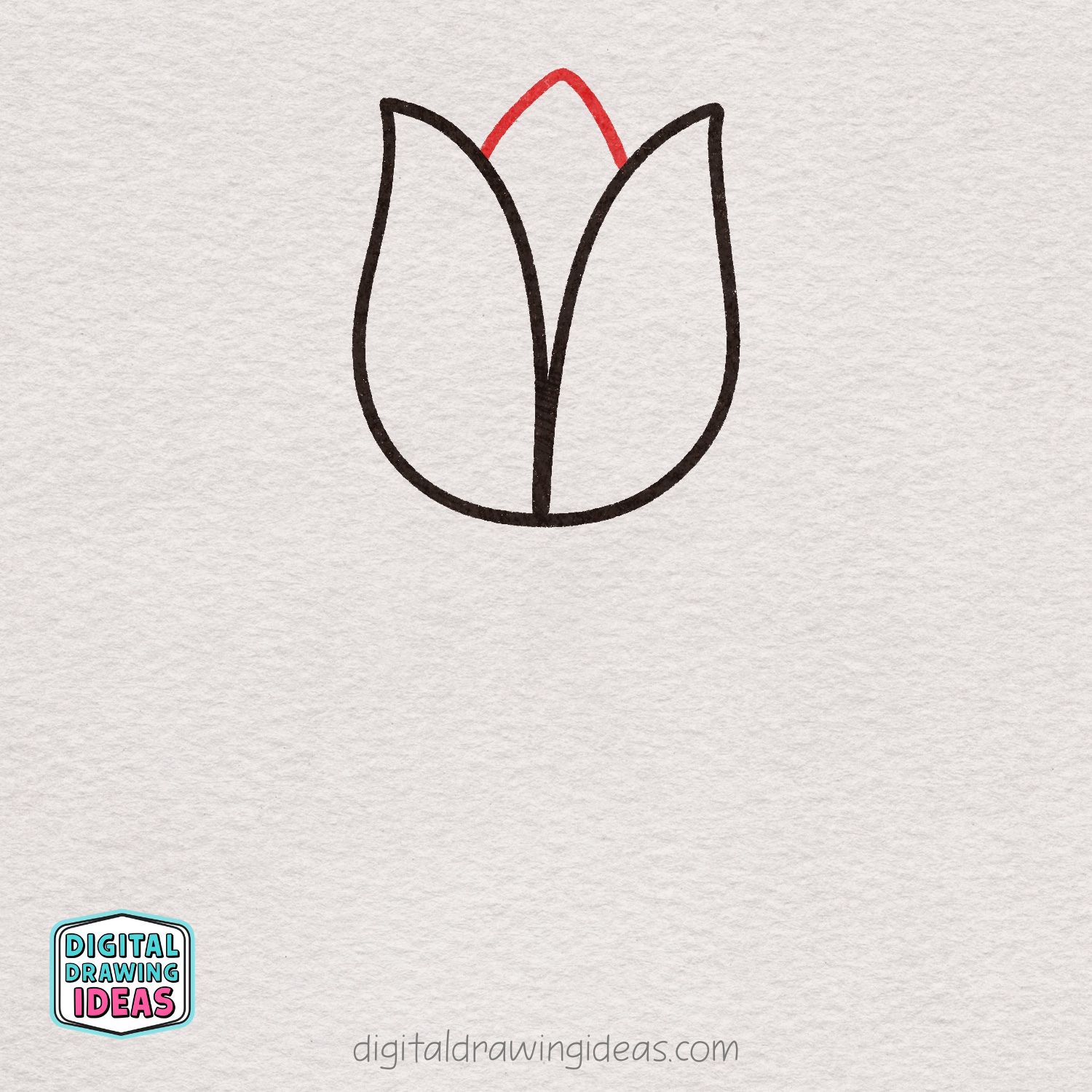 How to Draw a Tulip flower - Digital Drawing Ideas