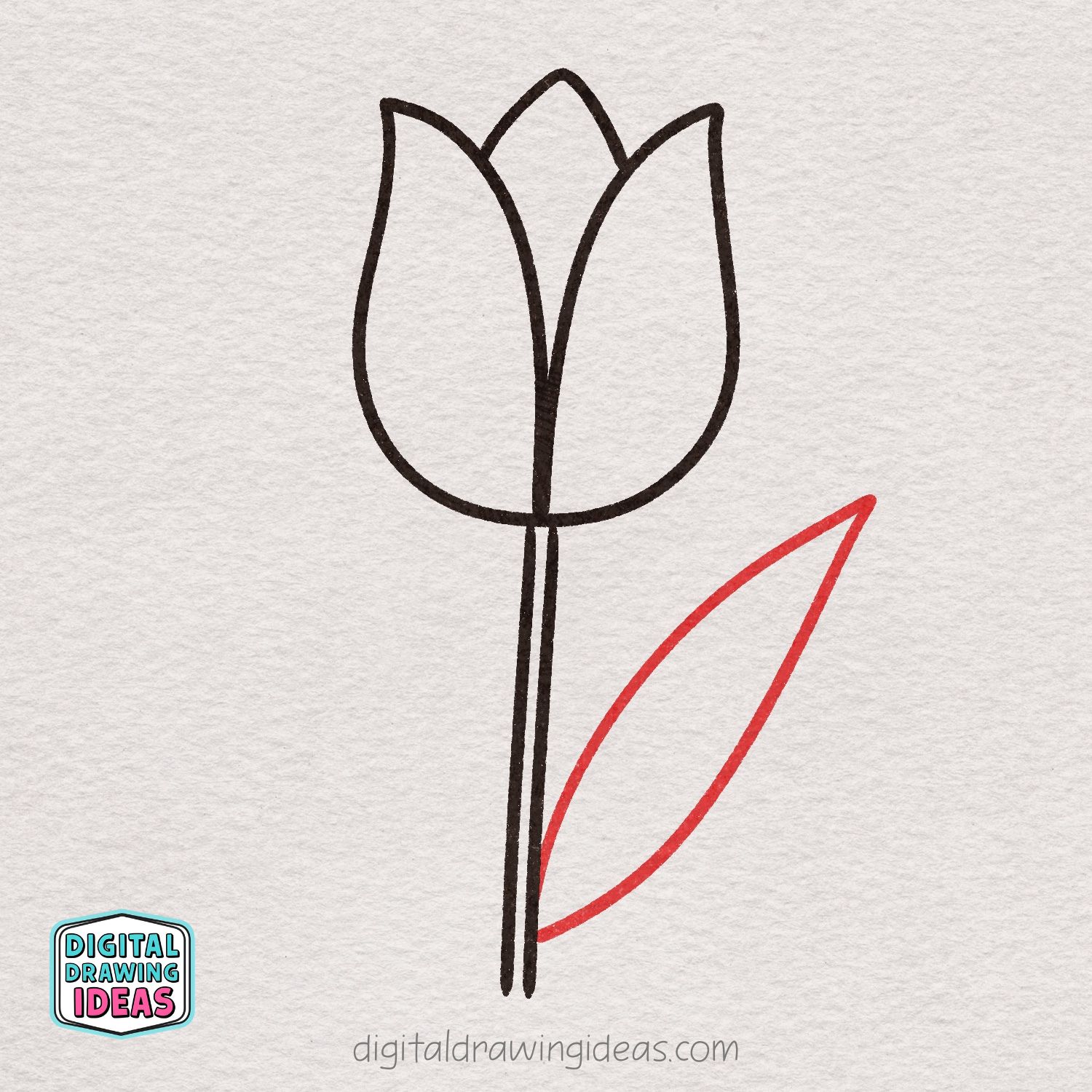 How to Draw a Tulip flower - Digital Drawing Ideas