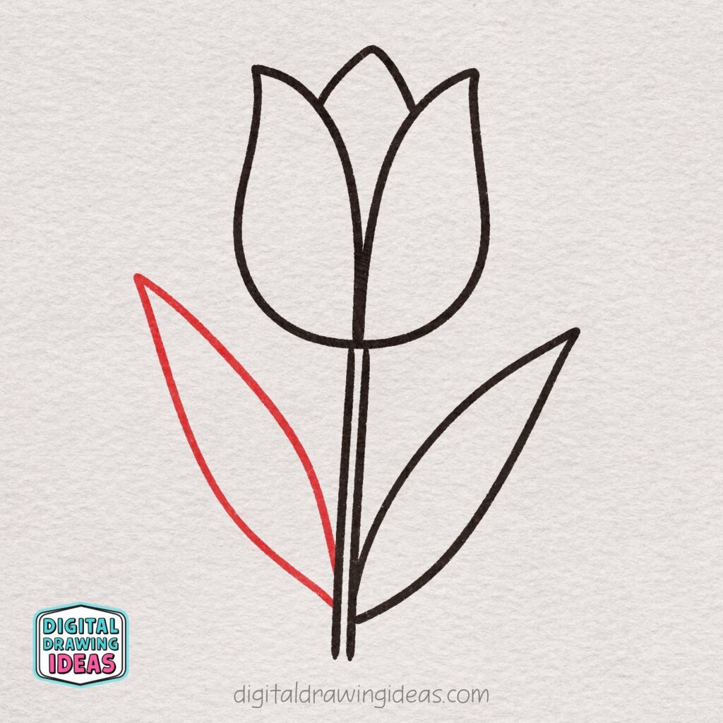 How to Draw a Tulip flower - Digital Drawing Ideas