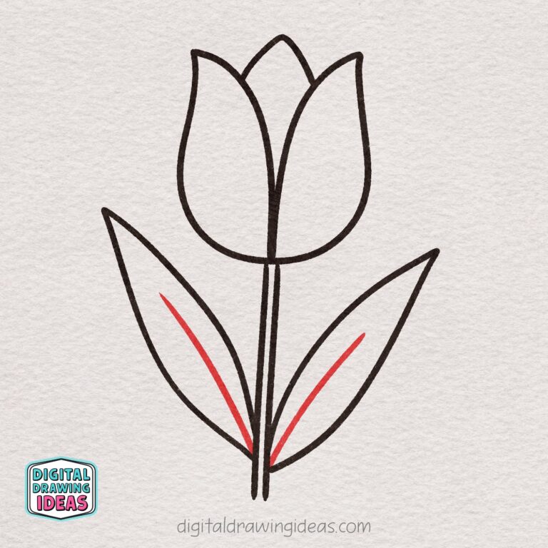 How to Draw a Tulip flower - Digital Drawing Ideas