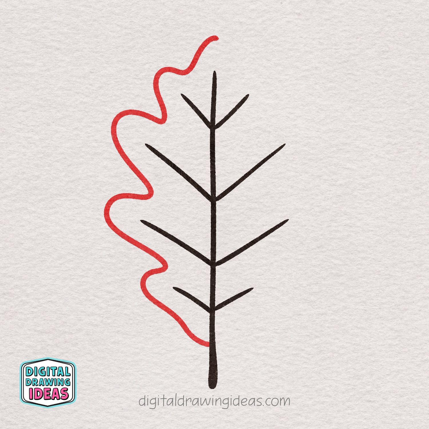 How to Draw an Acorn Leaf - Digital Drawing Ideas