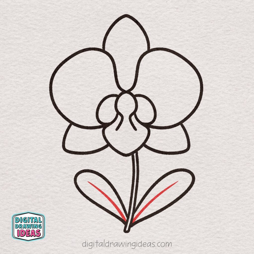 How to Draw an Orchid Flower - Digital Drawing Ideas