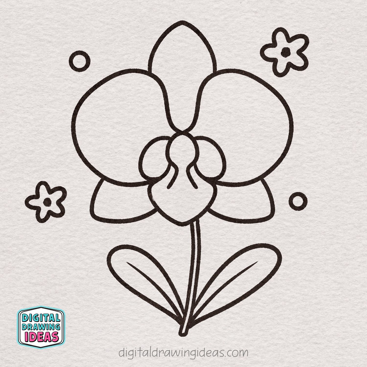 How to Draw an Orchid Flower - Digital Drawing Ideas