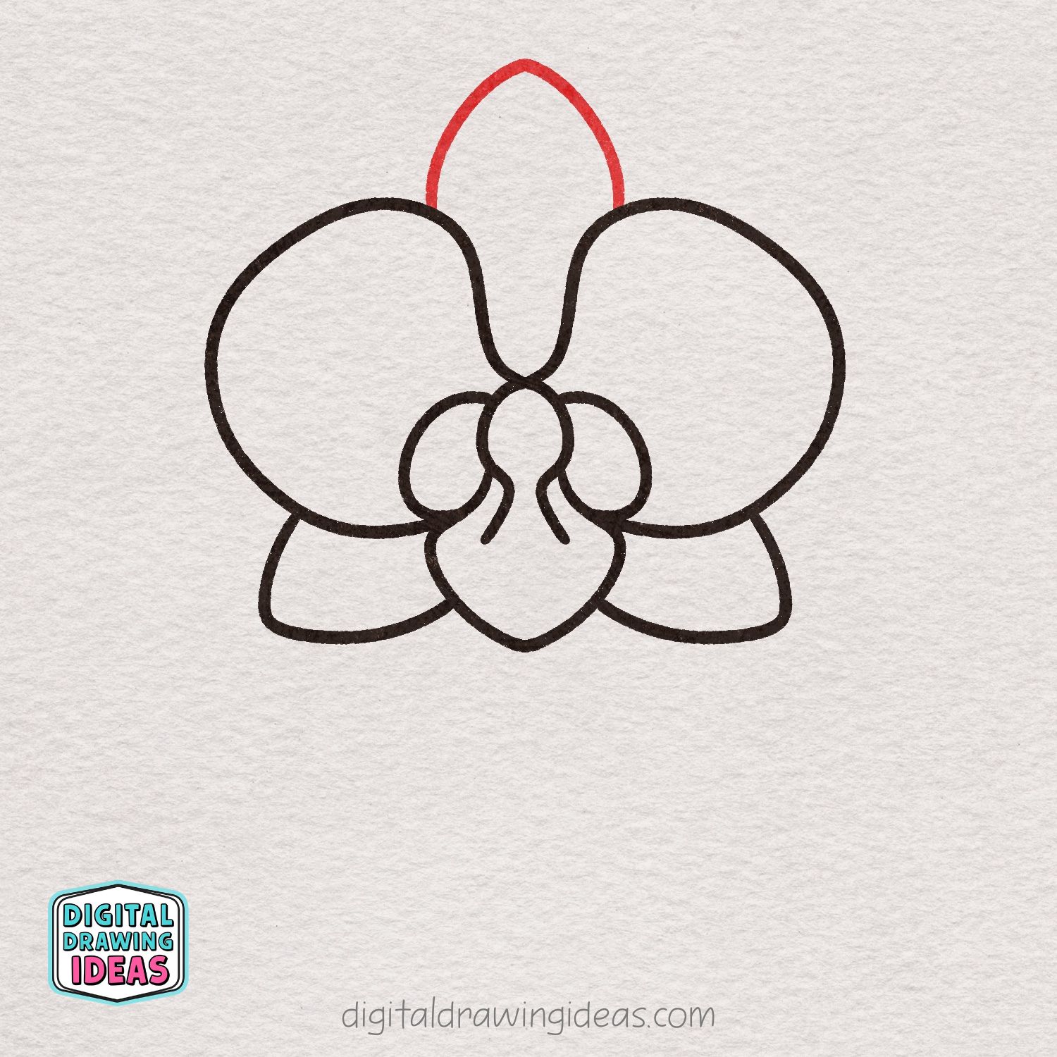 How to Draw an Orchid Flower - Digital Drawing Ideas