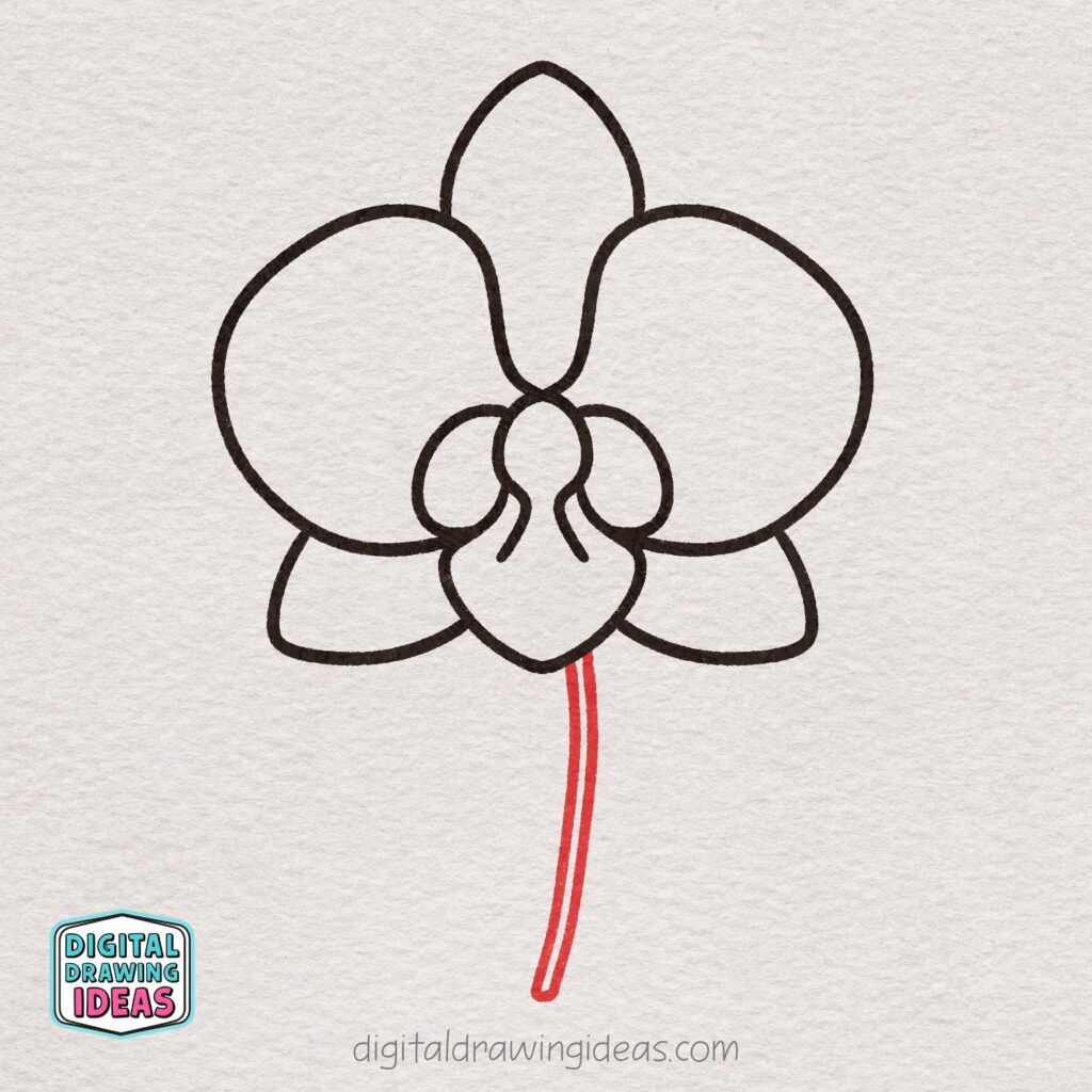 How to Draw an Orchid Flower - Digital Drawing Ideas