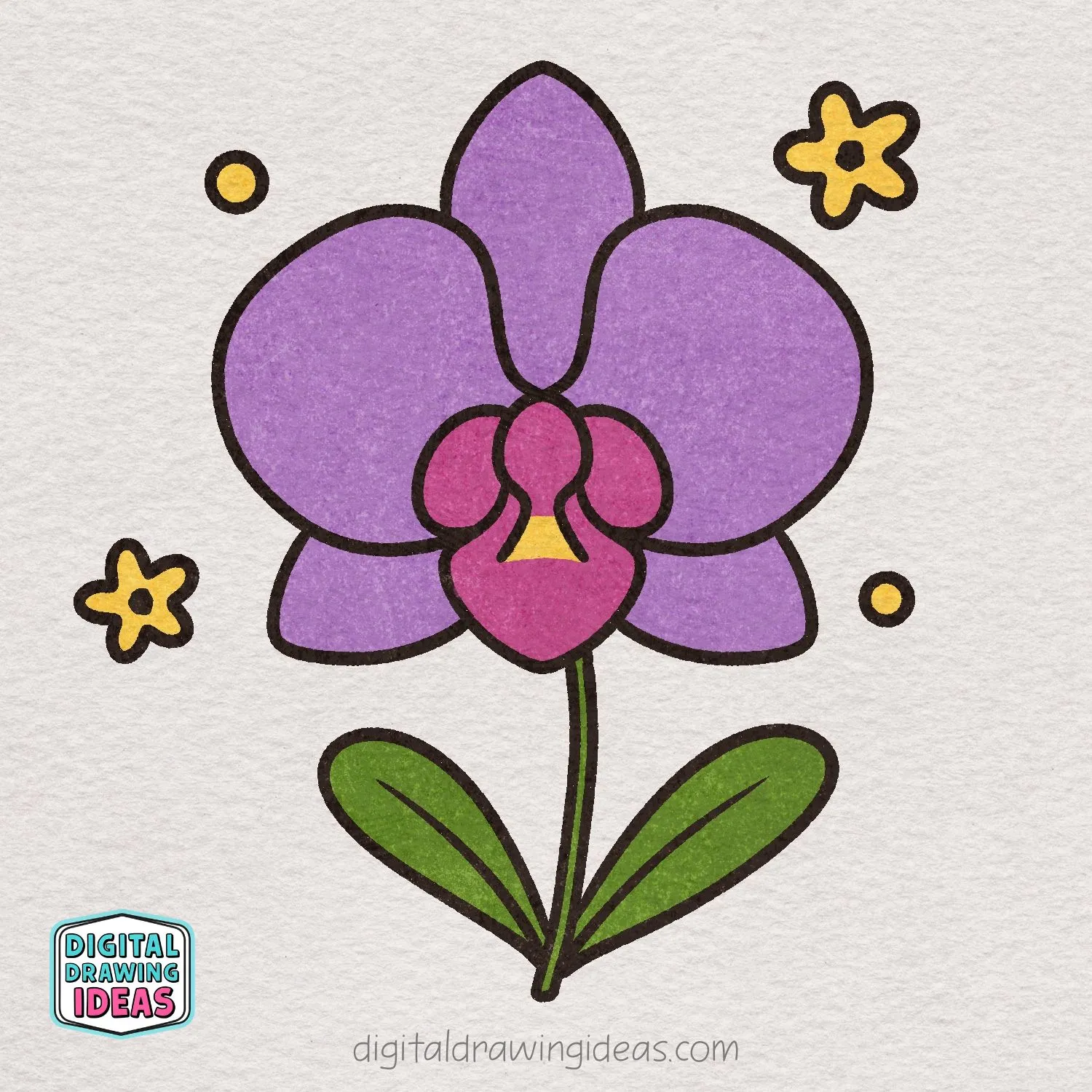 How to Draw an Orchid Flower - Digital Drawing Ideas