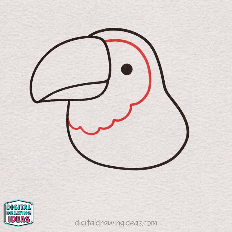 How to Draw a Toucan - Digital Drawing Ideas